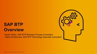 SAP BTP Enablement | PDF