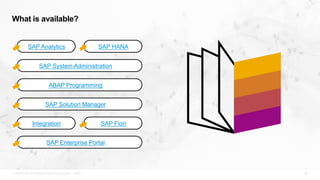 SAP BTP Enablement | PDF