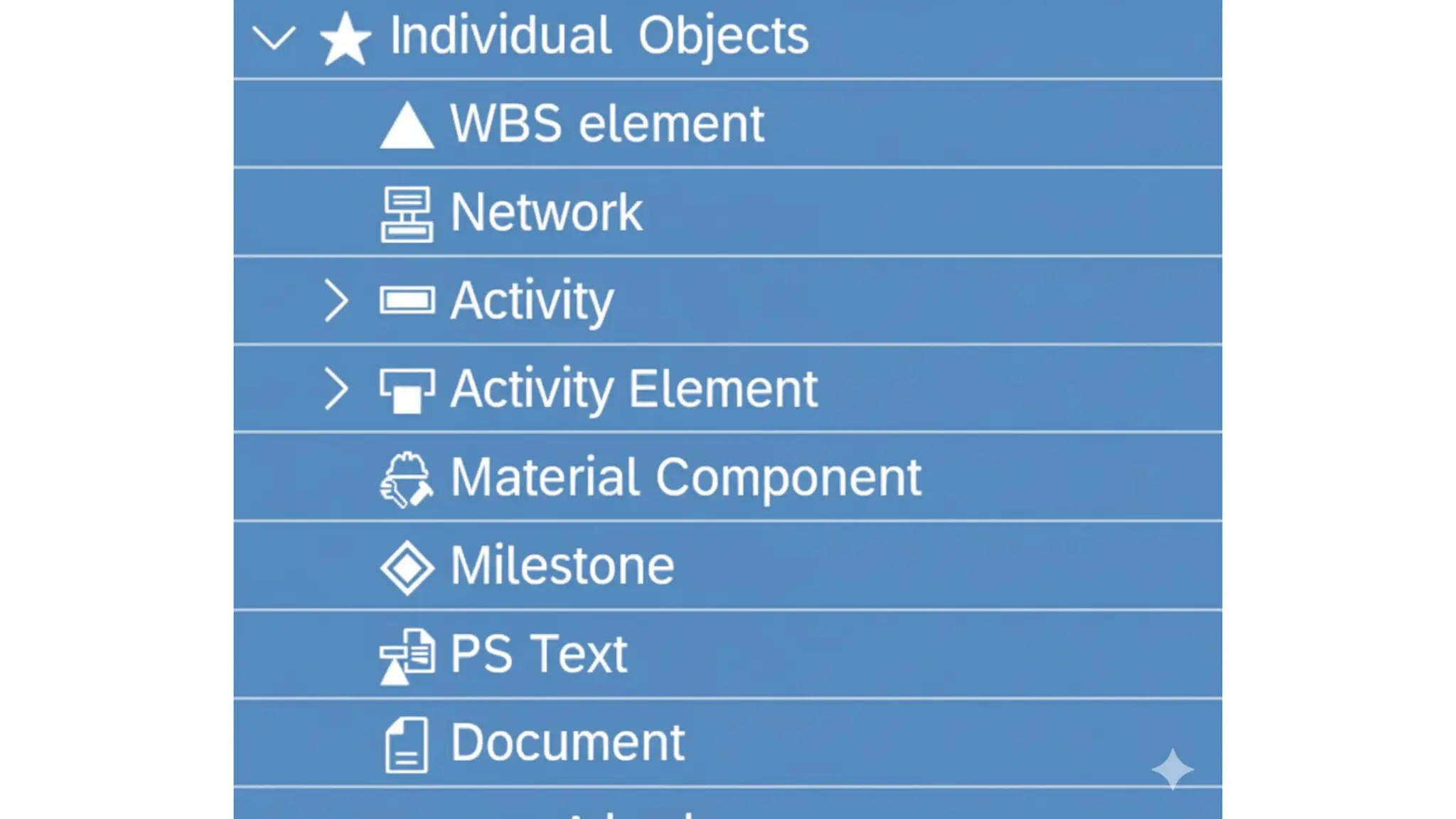 SAP budget for begginers and newbie.pptx