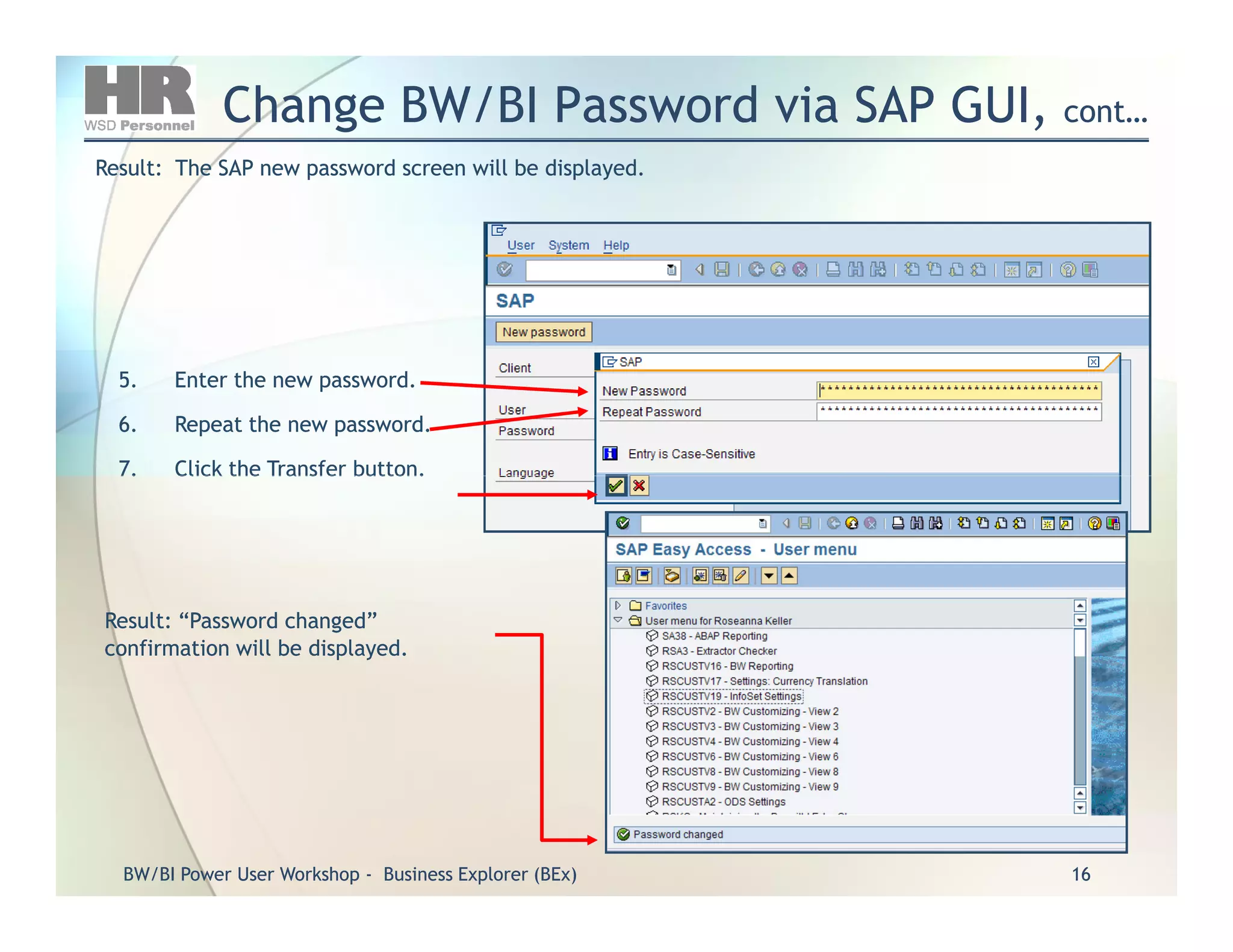 SAP Business Explorer bex hr | PDF