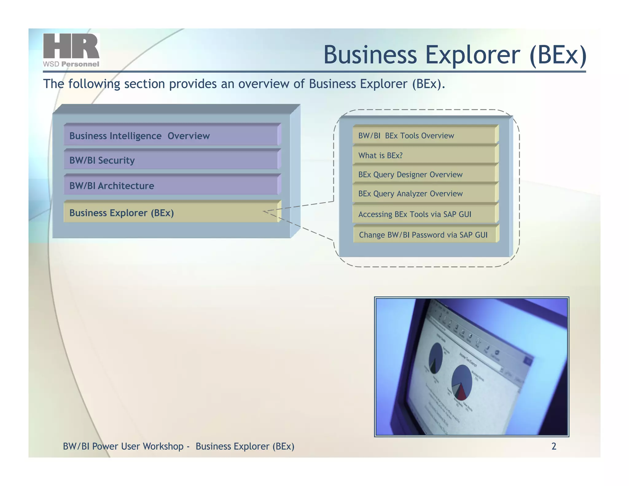 SAP Business Explorer bex hr | PDF