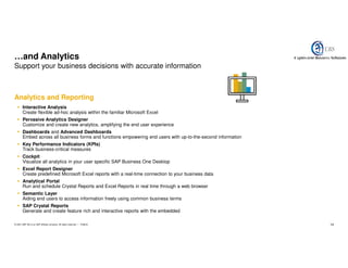 SAP business one : Efficiency Engine for Everything you need in ...