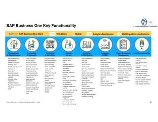 SAP business one : Efficiency Engine for Everything you need in ...