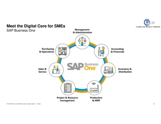 SAP business one : Efficiency Engine for Everything you need in ...