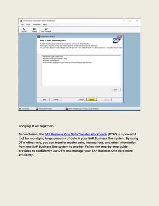 SAP Business One Data Transfer Workbench Tool | PDF