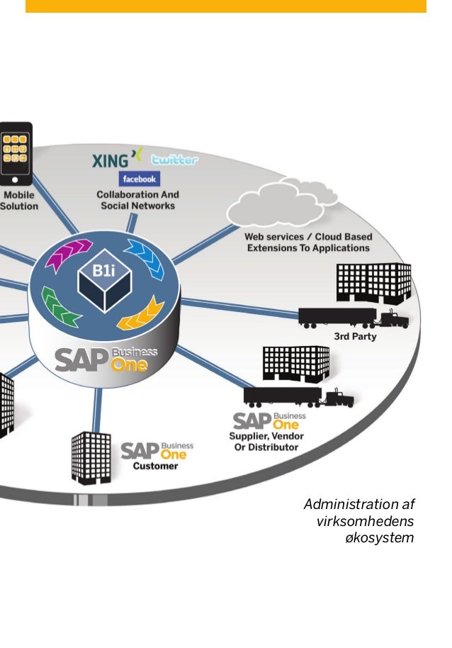 SAP Business One - Danish eBook