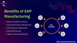 ERP Implementation in Manufacturing: Key Considerations and Best Practices | PDF