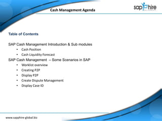 Sap cash management material | PDF