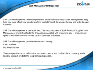 Sap cash management material | PDF