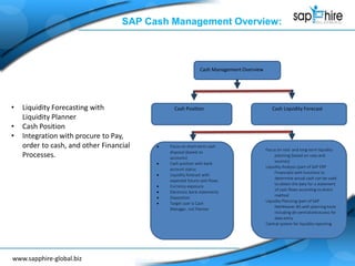 Sap cash management material | PDF