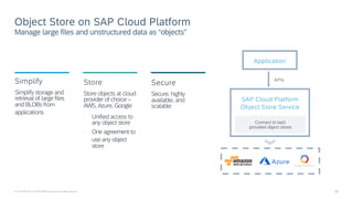 SAP Cloud Platform – Data & Storage - Overview | PDF