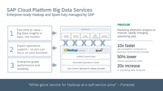 SAP Cloud Platform – Data & Storage - Overview | PPT