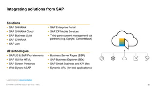SAP Cloud Platform Portal Overview.pdf | Cloud Computing | Internet