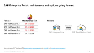 SAP Cloud Platform Portal Overview.pdf | Cloud Computing | Internet
