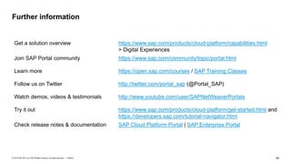 SAP Cloud Platform Portal Overview.pdf | Cloud Computing | Internet