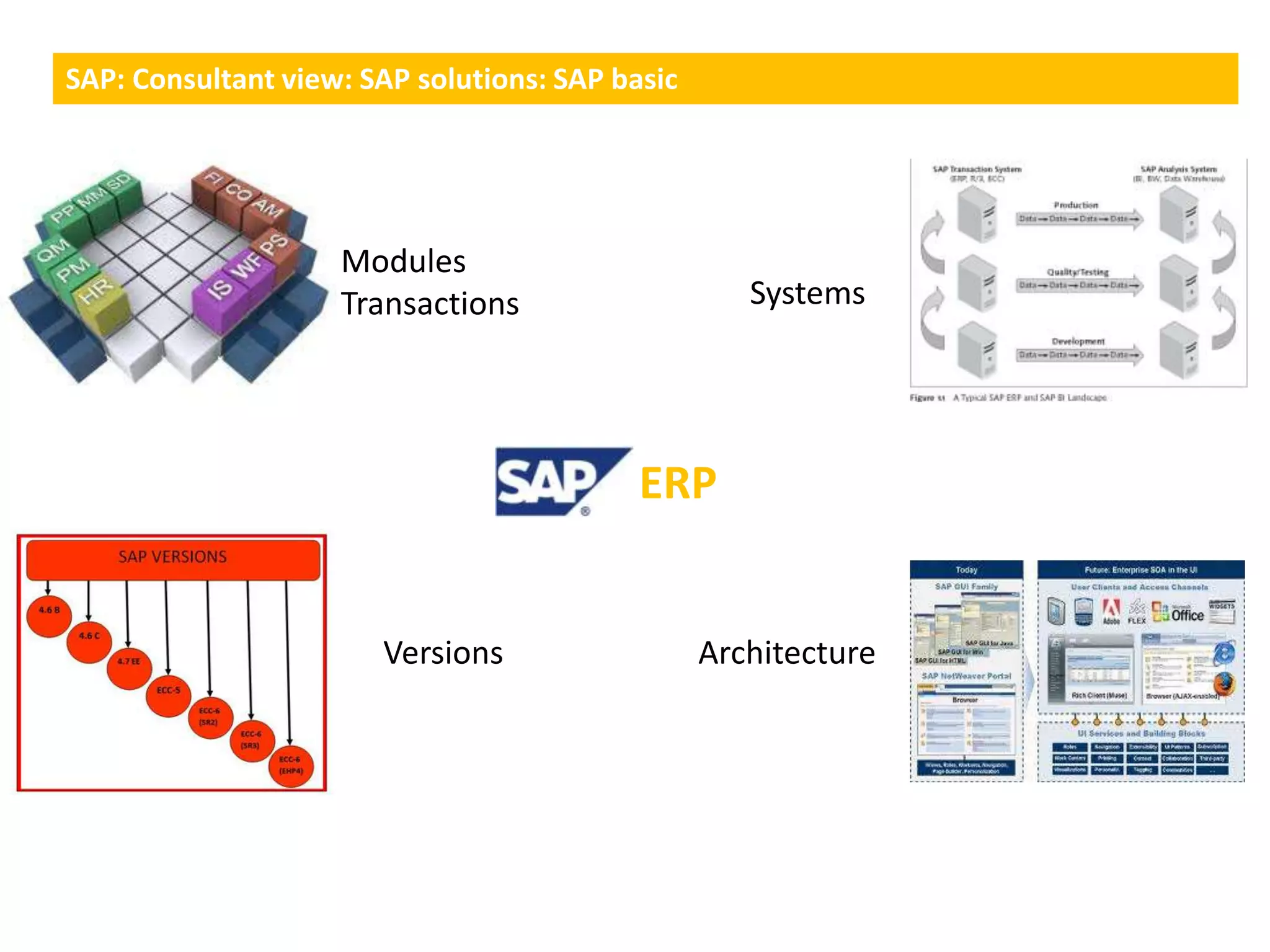 SAP Overview for Beginner Consultants | PPTX