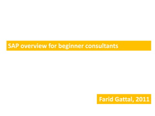 SAP Overview for Beginner Consultants | PPTX