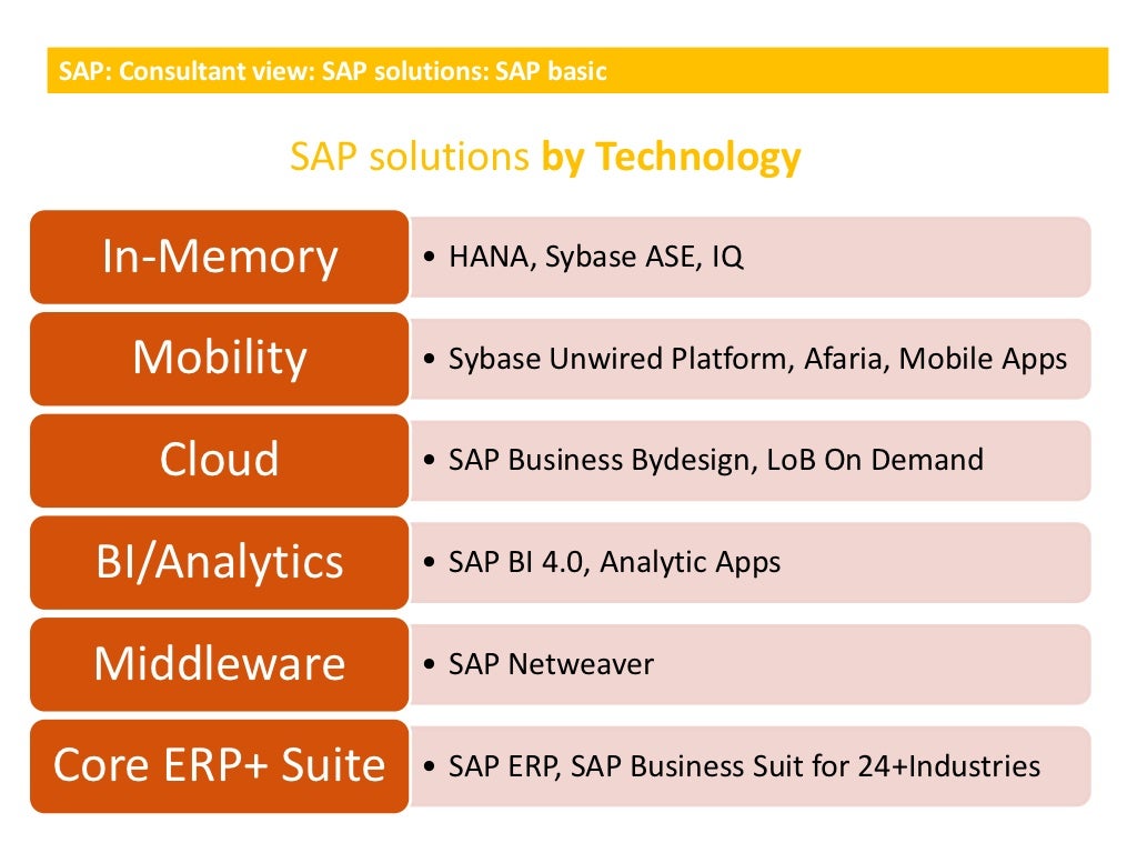SAP Overview for Beginner Consultants