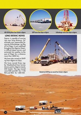 Sapcor brochure | PDF