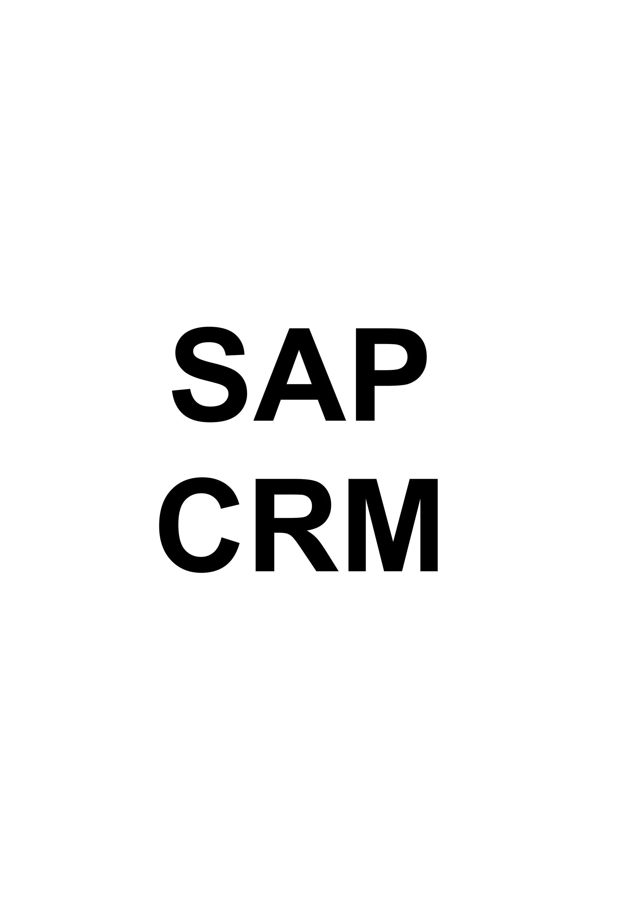 SAP CRM | PDF