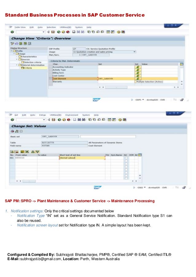Sap cs standard process document
