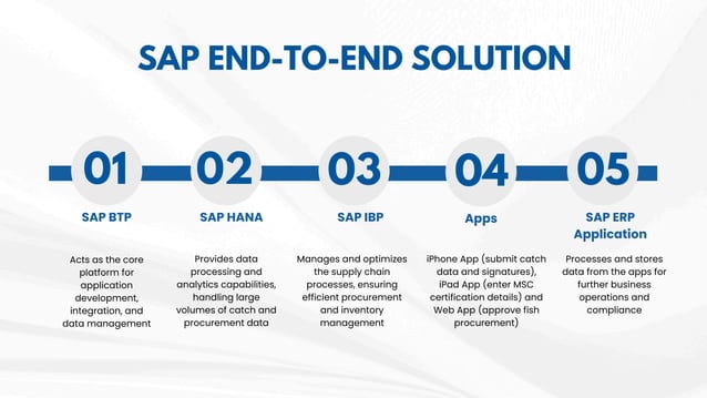 SAP Customer Analysis Presentation Submission | PPT