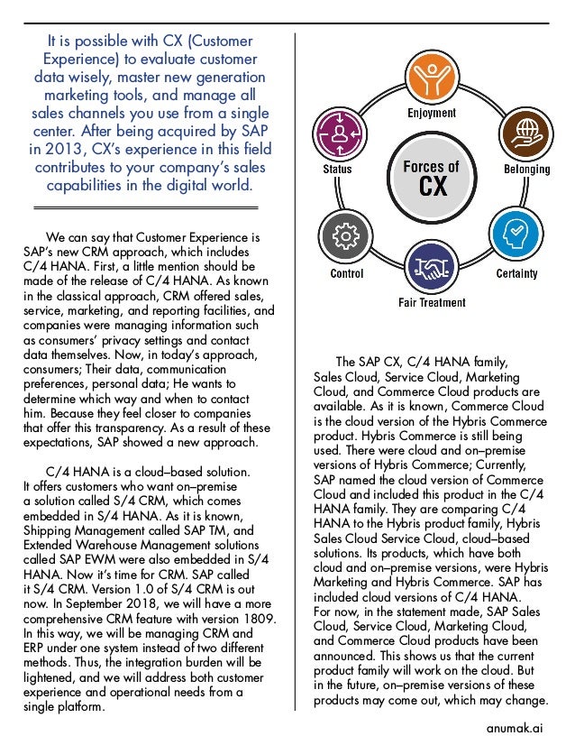SAP Customer Experience (CX) | PDF