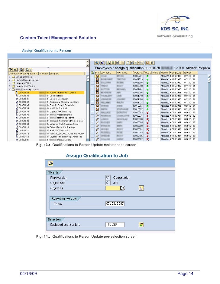 Sap Custom Talent Management Solution Whitepaper V1.0