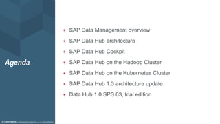SAP Data Hub | PDF