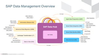 SAP Data Hub | PDF | Cloud Computing | Internet