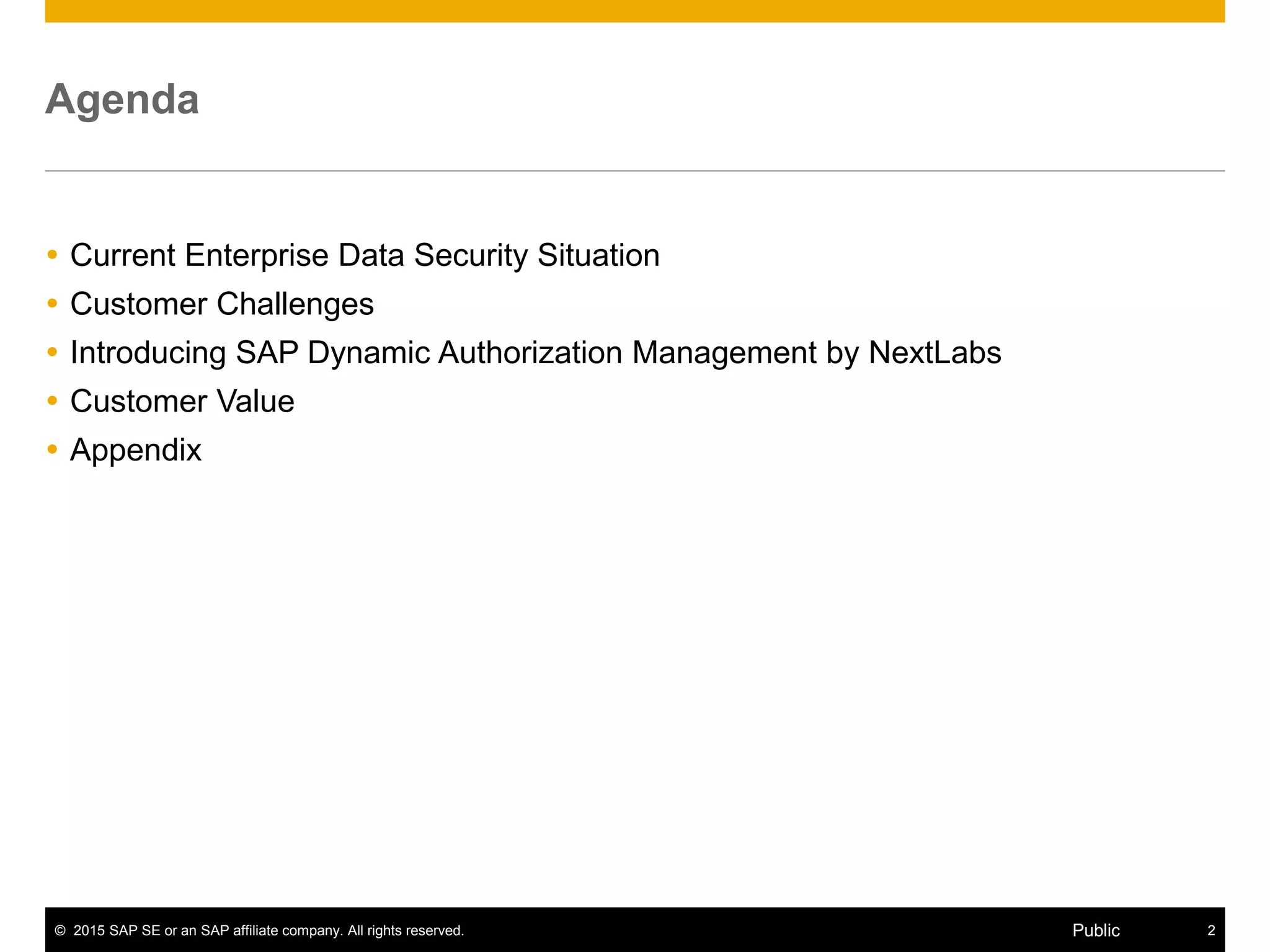 SAP Dynamic Authorization Management | PPTX
