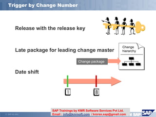 SAP Engineering Change Management(ECM) | PDF