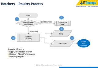 SAP EHP 6.0 - for Poultry Industry | PPT