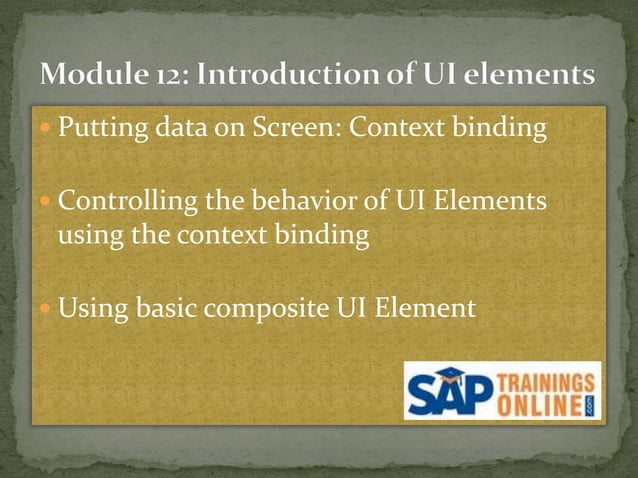Sap Ep Java Webdynpro Training Course Sap Training Online Ppt 0603