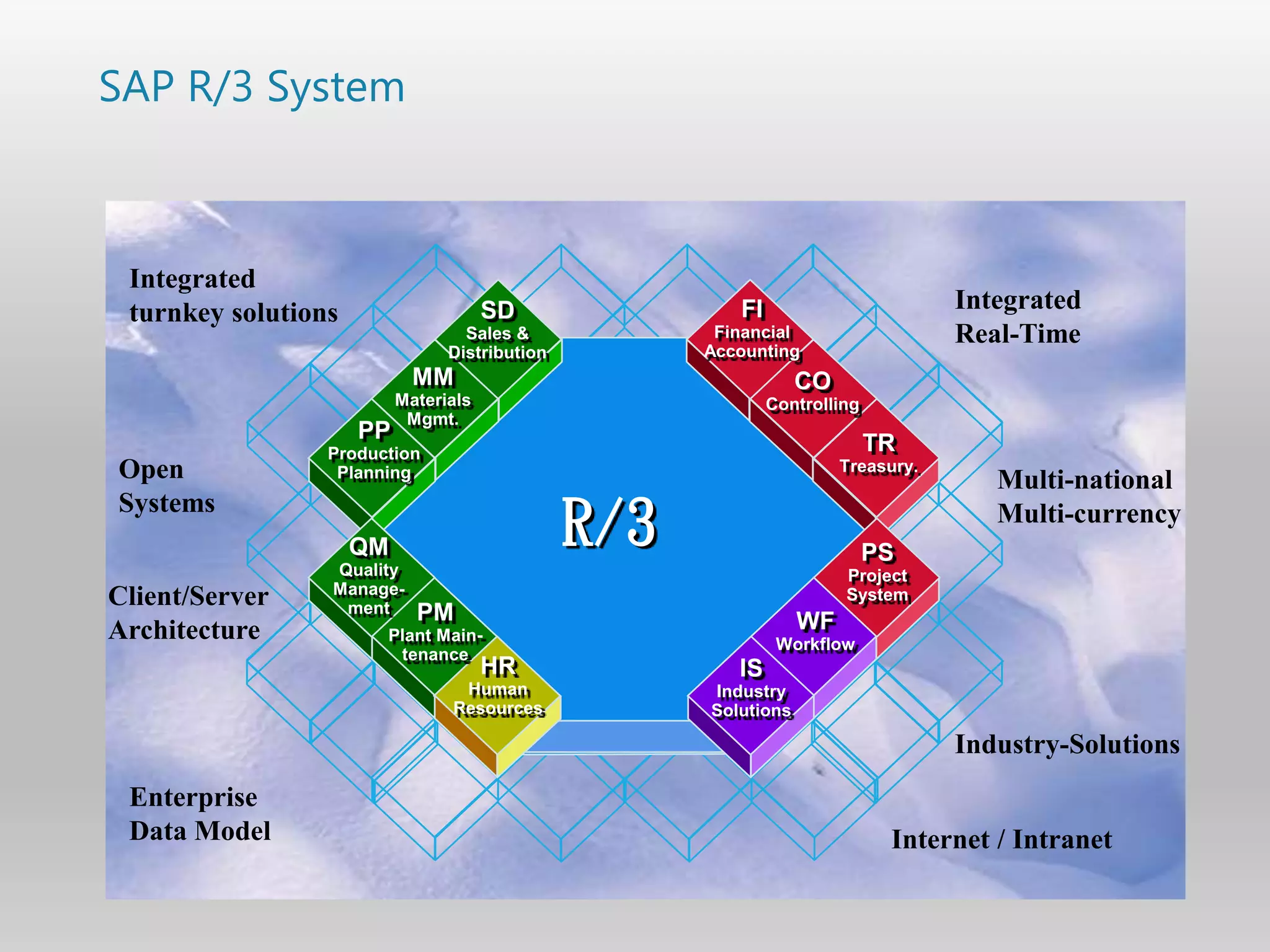 Sap Overview | PPTX | Computer Software and Applications | Computing