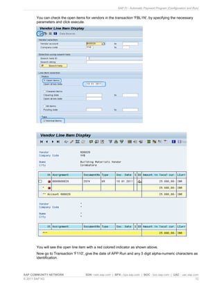 Sap fi automatic payment program (configuration and run) | PDF