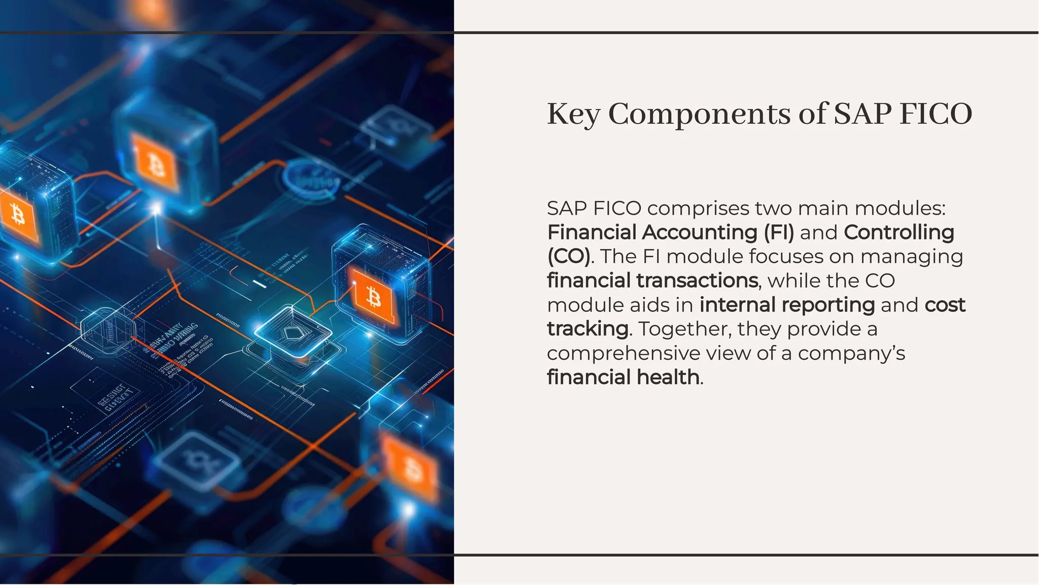 Sap Fi Co Introduction To Sap Courses Ppt