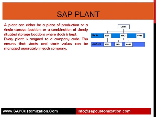 SAP Organization Structure | PPT | Sales | Business