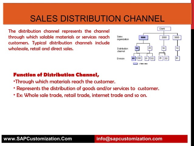SAP Organization Structure | PPT | Sales | Business