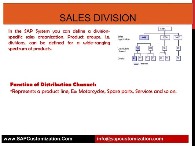 SAP Organization Structure | PPT | Sales | Business