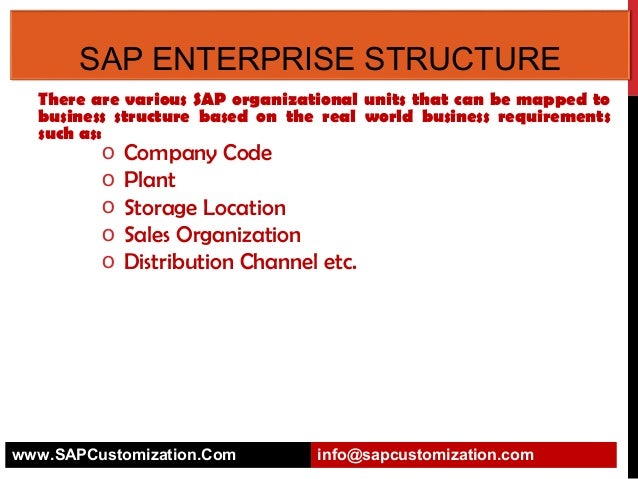 SAP Organization Structure