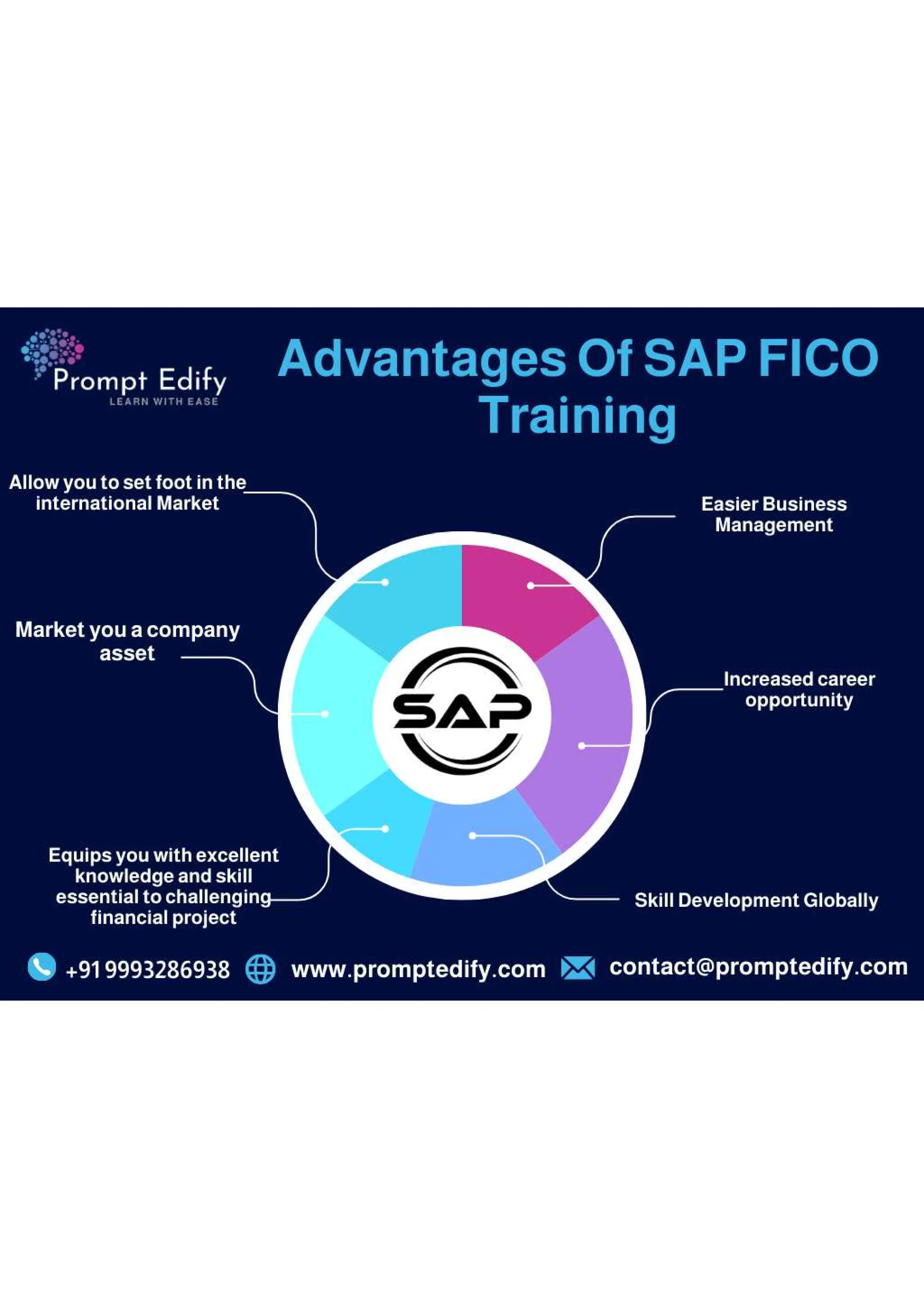 SAP FICO Training In South Africa A Prompt Edify | PDF