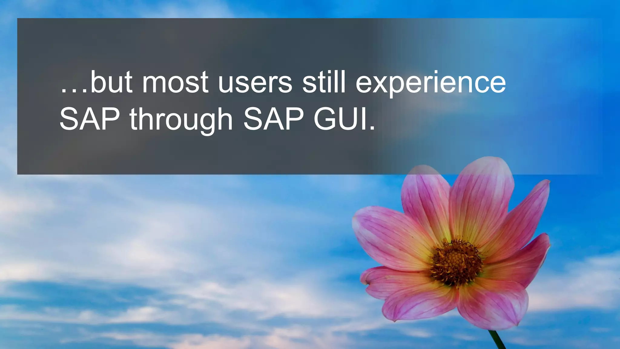 Sap Fiori Configurations Pdf Computer Software And Applications Computing