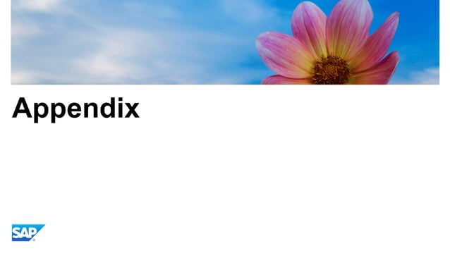 Sap Fiori Configurations Pdf Computer Software And Applications Computing