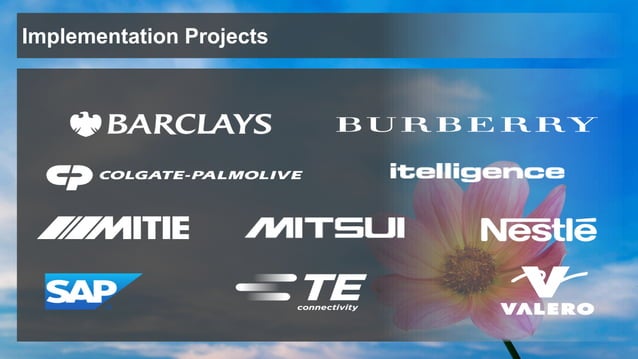 Sap Fiori Configurations Pdf Computer Software And Applications Computing