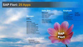 Sap fiori adv | PDF