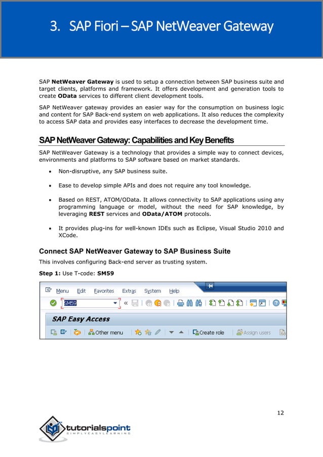 Sap Fiori Tutorial Pdf Computer Software And Applications Computing 7970