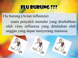 Sap flu burung | PPTX