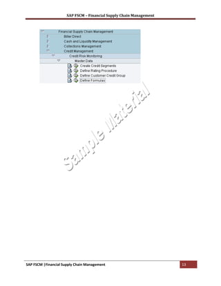 SAP FSCM Training Material | PDF