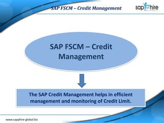 Sap fscm training materials | PDF
